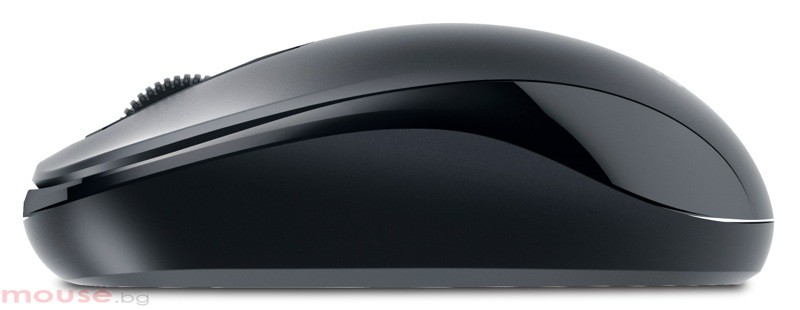 Мишка GENIUS DX-110 оптична USB черна