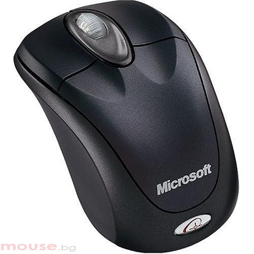 Microsoft Wireless Notebook Optical Mouse 3000 USB English Slate Retail